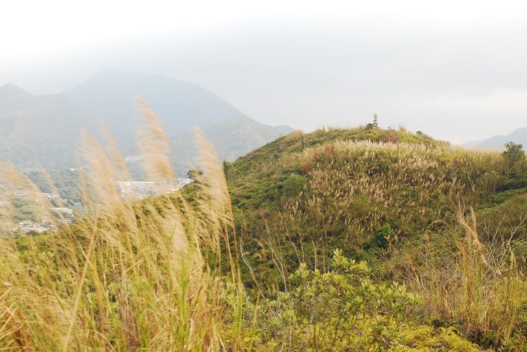 From Sheung Shui to Fanling – Easy Hike at Wah Shan
